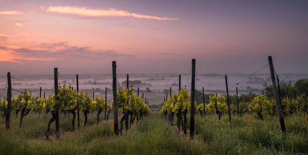 Astanor met 275 millions d'euros sur la table pour l'agriculture raisonnée
